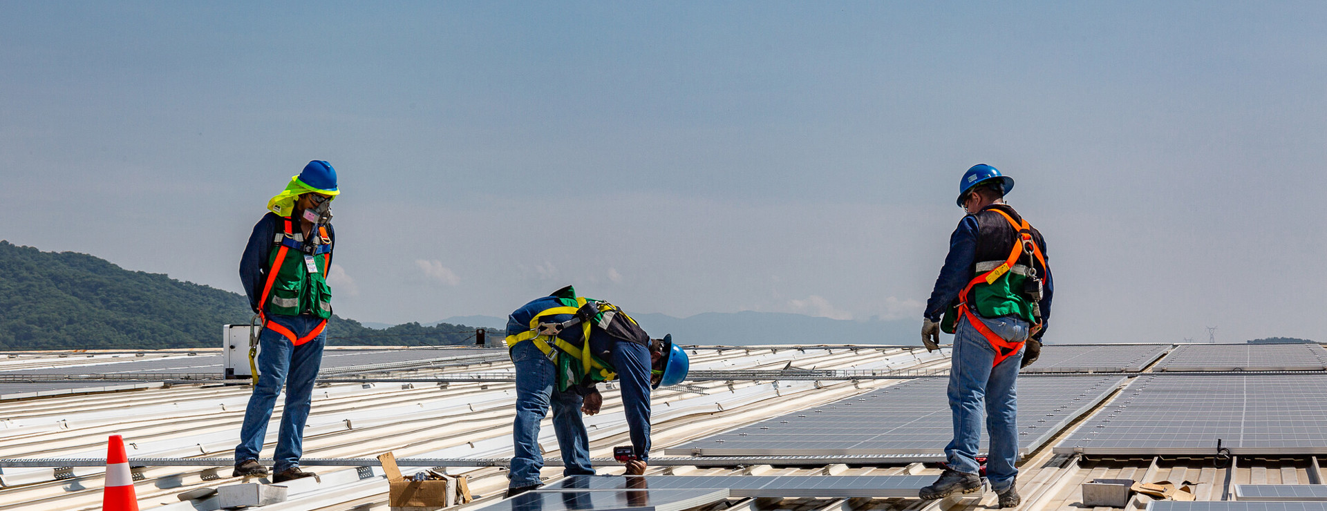 Homepage | Impala Terminals